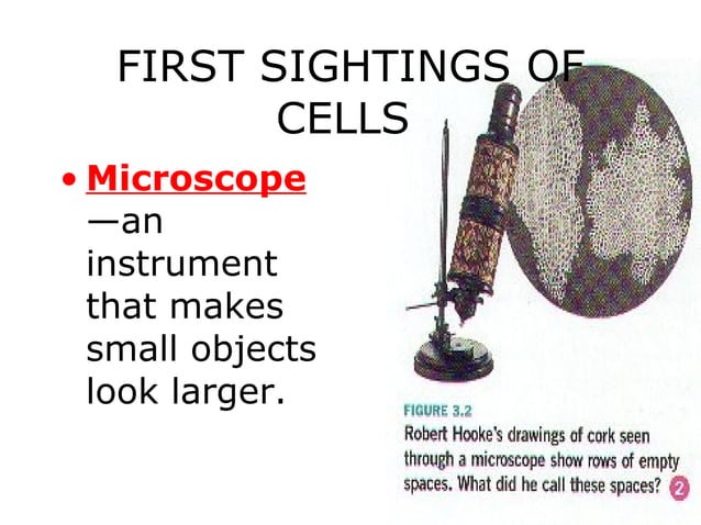2 Structure Function Living Systems | PPT