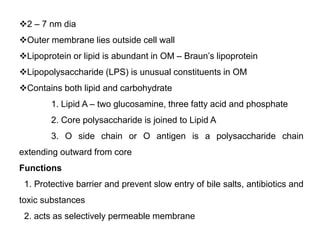 Structure, growth and reproduction of bacteria | PPTX
