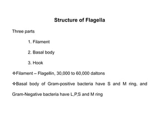 Structure, growth and reproduction of bacteria | PPTX