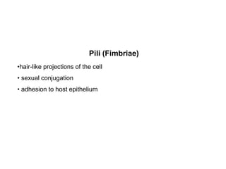 Structure, growth and reproduction of bacteria | PPTX