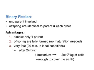 Structure, growth and reproduction of bacteria | PPTX