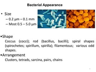 Structure, growth and reproduction of bacteria | PPTX