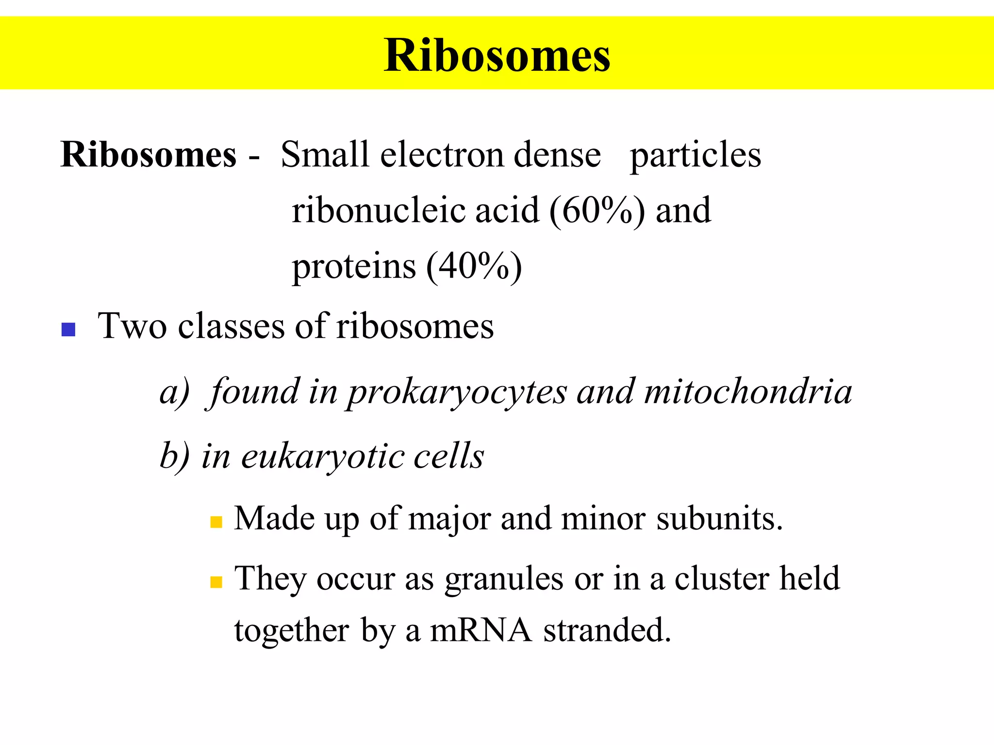 Structure of the cell.pdf