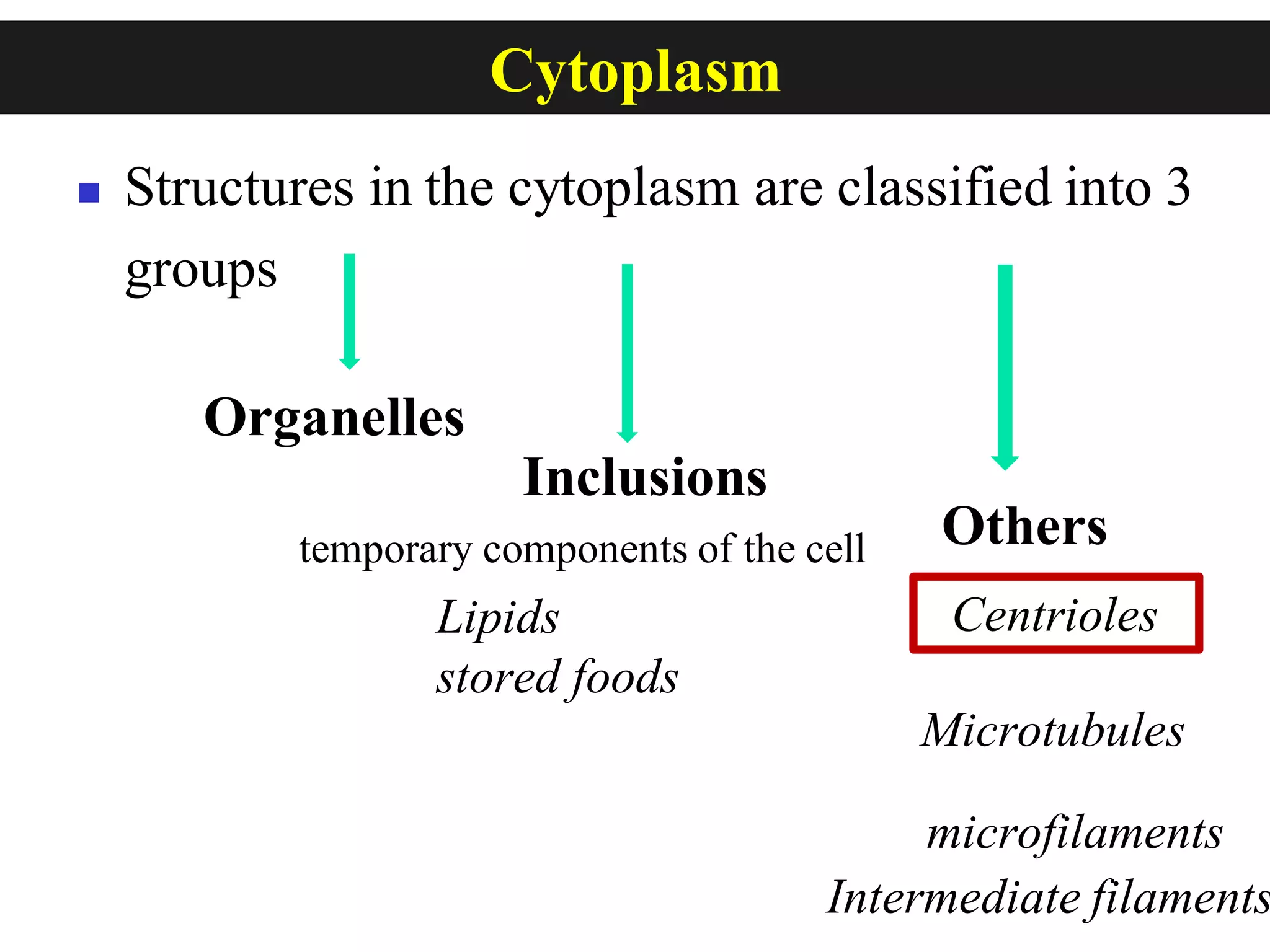 Structure of the cell.pdf | Biological Sciences | Science