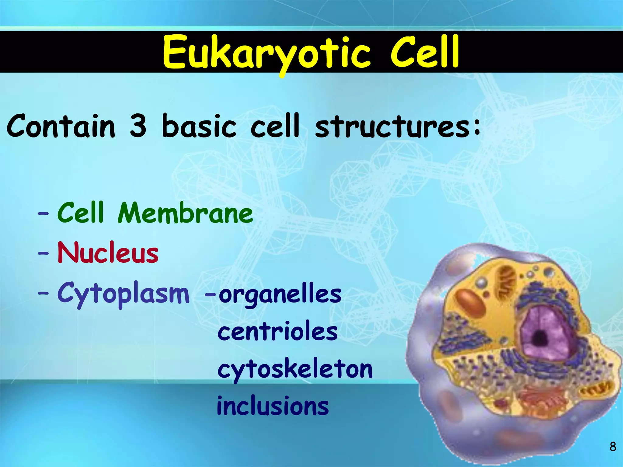 Structure of the cell.pdf