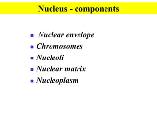 Structure of the cell.pdf