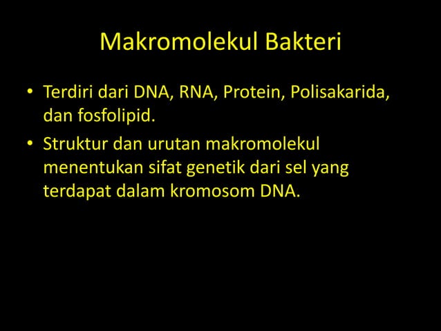 2 struktur morfologi | PPT