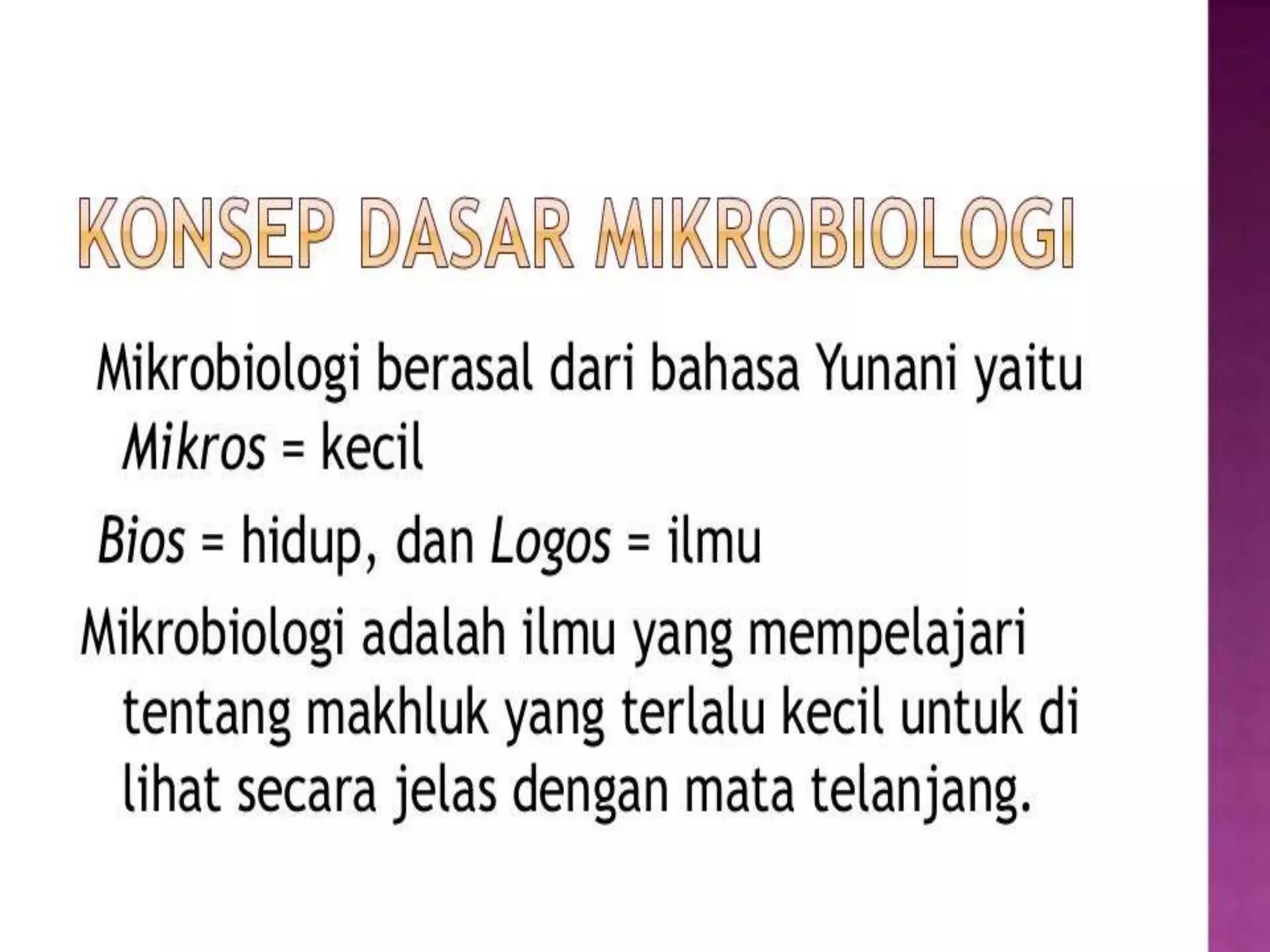 struktur morfologi | PPTX