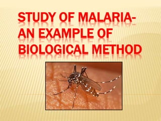 2 study of malaria | PPT