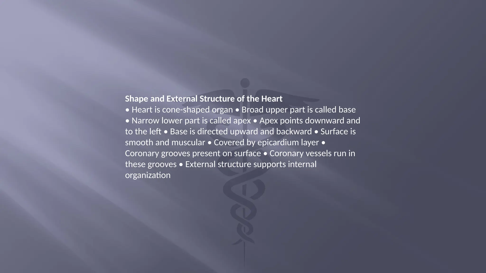 Summary and Importance of Heart Structure.pptx