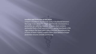 Summary and Importance of Heart Structure.pptx