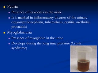 Symptomology and methods of physical examination of urological diseases ...