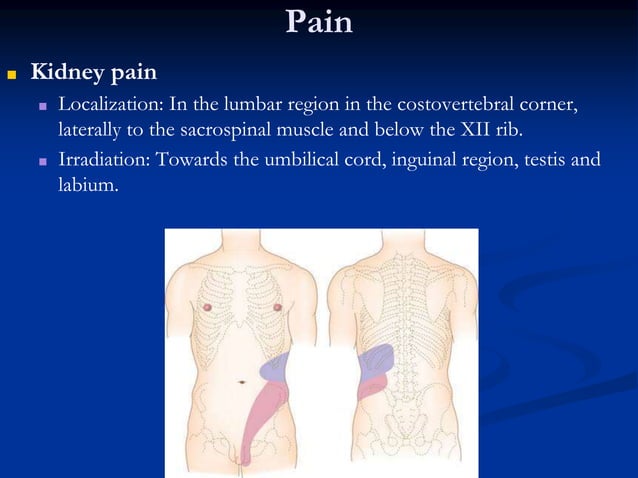 Symptomology and methods of physical examination of urological diseases ...