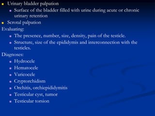 Symptomology and methods of physical examination of urological diseases ...