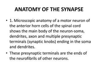 2 Synapse.pptx for first year physiology | PPT