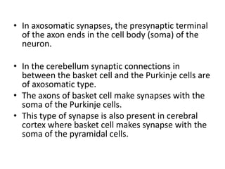2 Synapse.pptx for first year physiology | PPT