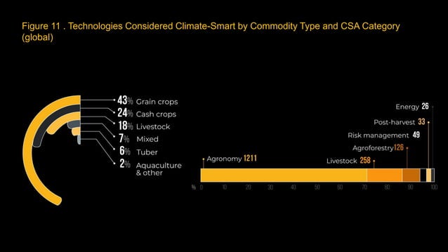 CSA Investment Advantage: Synthesis Paper Presentation | PPT