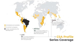 CSA Investment Advantage: Synthesis Paper Presentation | PPT