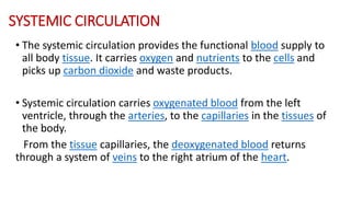 2 systemic circulation.pptx