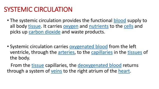 2 systemic circulation.pptx