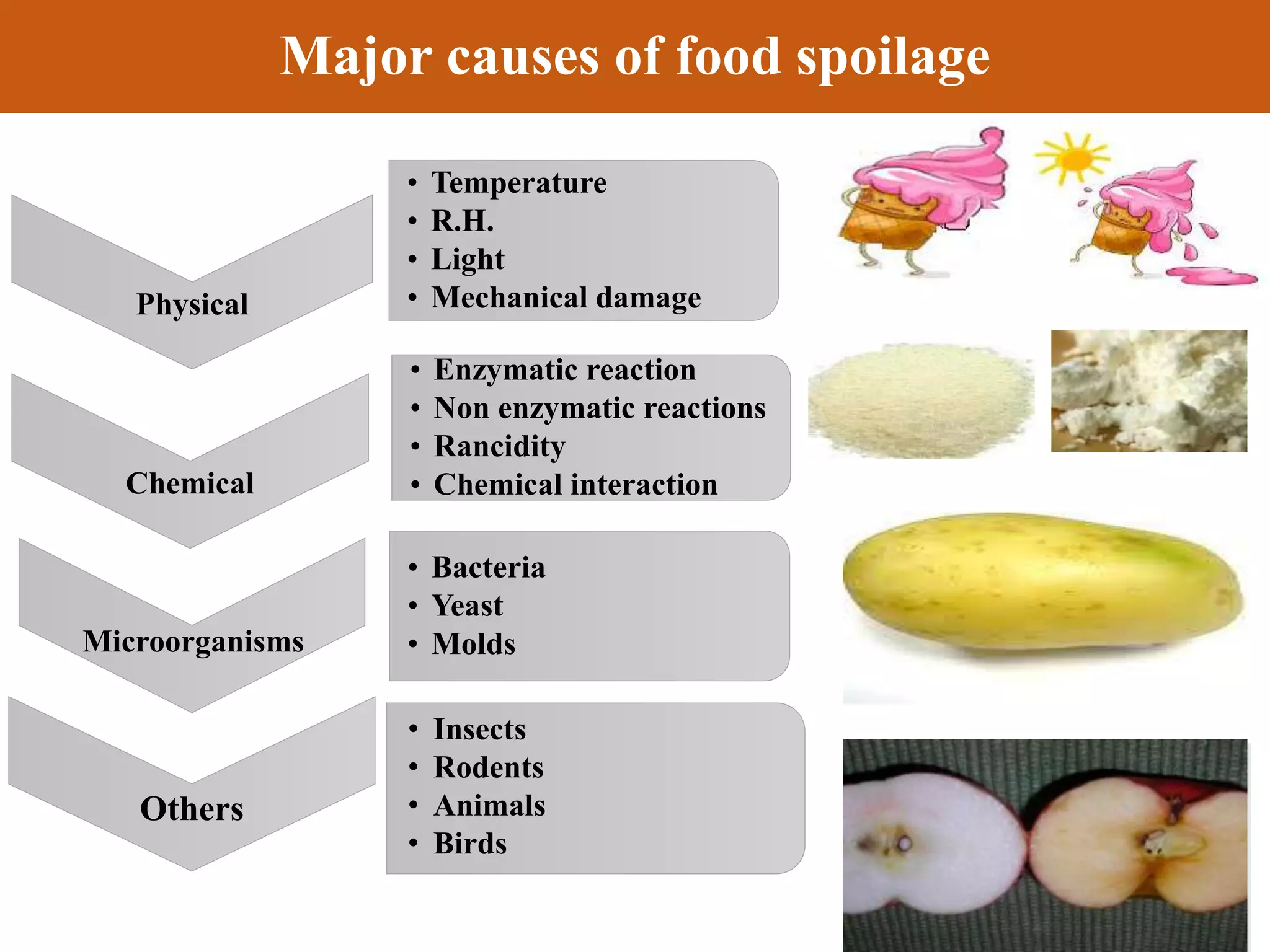 2T. AGM Physical and chemical changes during food spoilage.pptx