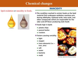 2T. AGM Physical and chemical changes during food spoilage.pptx