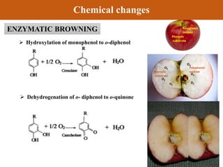 2T. AGM Physical and chemical changes during food spoilage.pptx