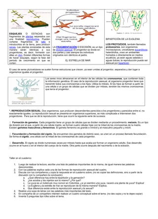 taller 20 a 27 reproducción en animales | DOCX