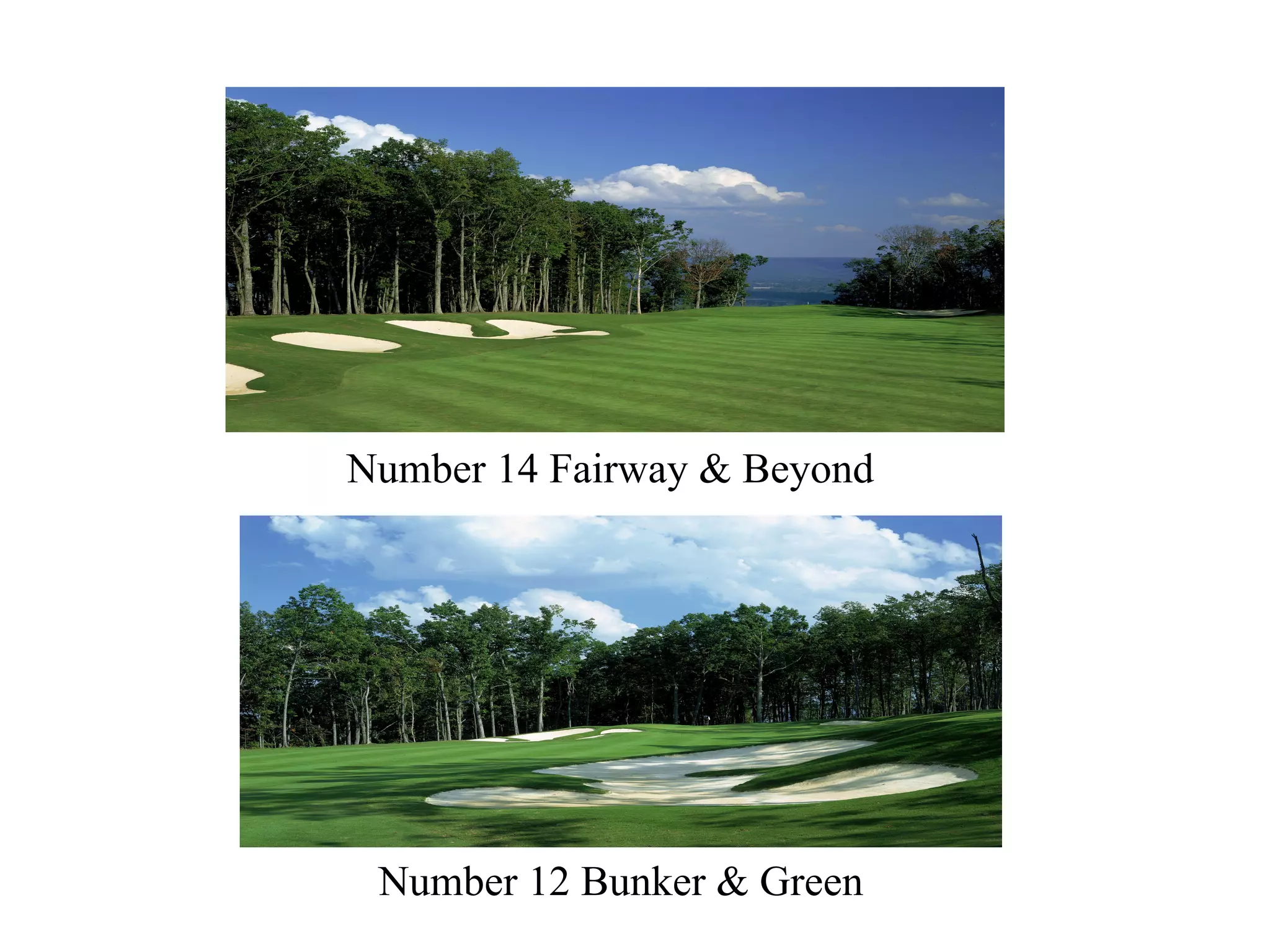 Chase Group Ledges Golf Course Development in 2000 | PPT | Golf | Sports