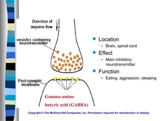 ASAS PSIKOLOGI the biology underlying behavior | PPT