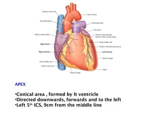 2 the heart | PPT