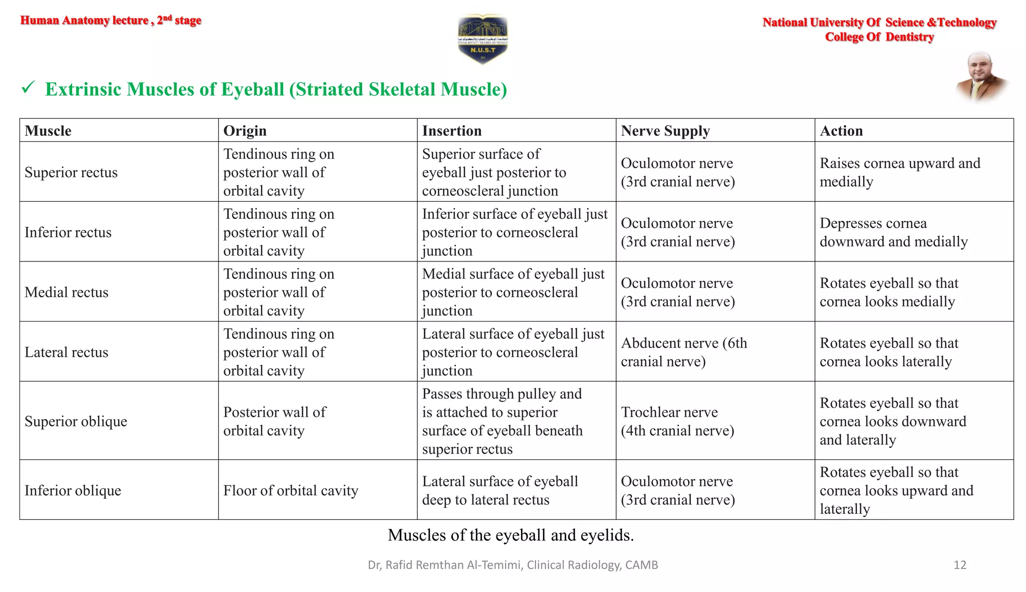 2 The orbital region part 1.pdf
