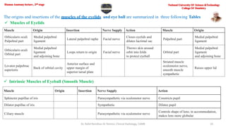 2 The orbital region part 1.pdf