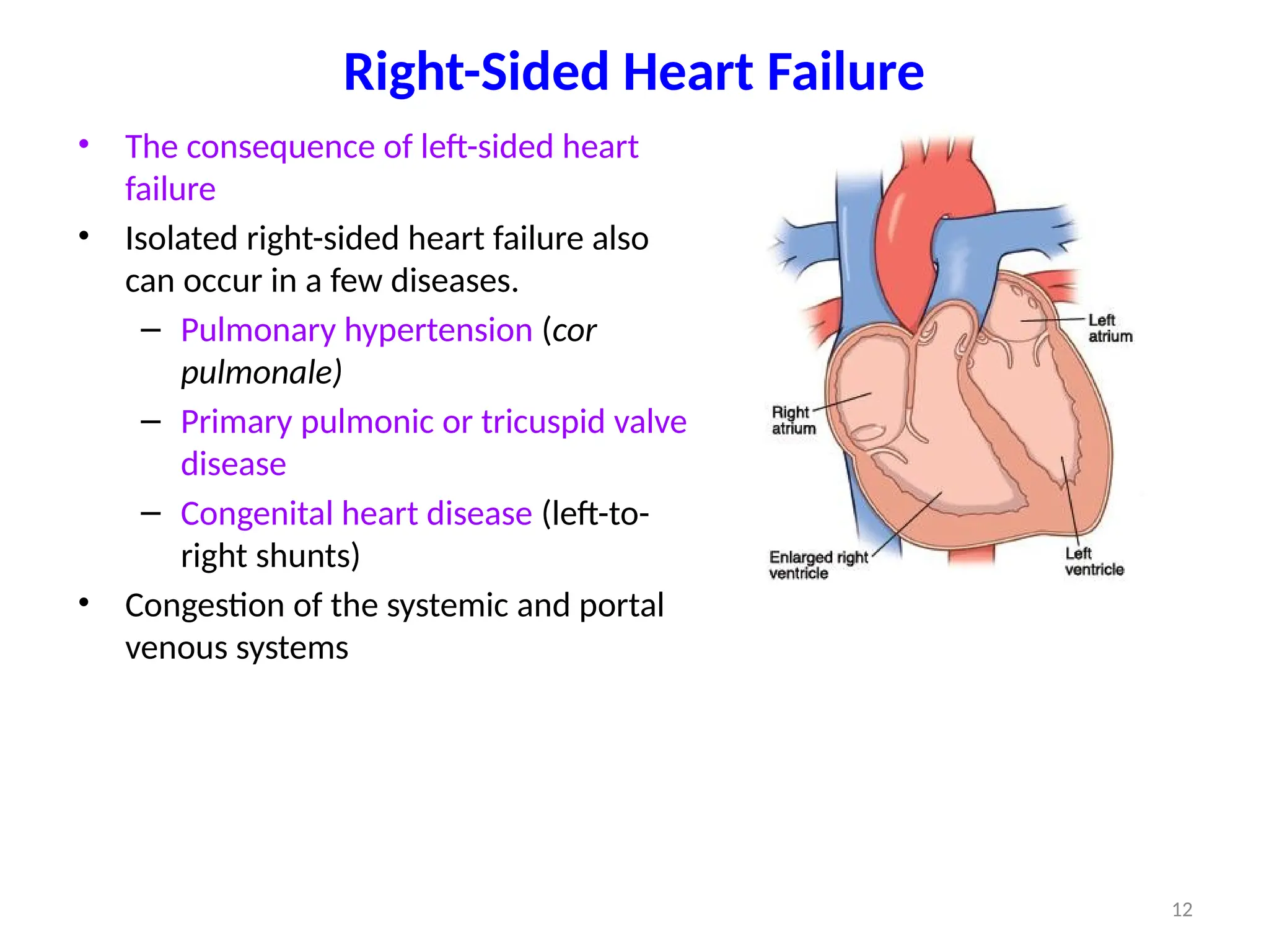 222 The pathology of the heart 2022.pptx