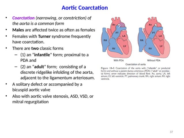 222 The pathology of the heart 2022.pptx