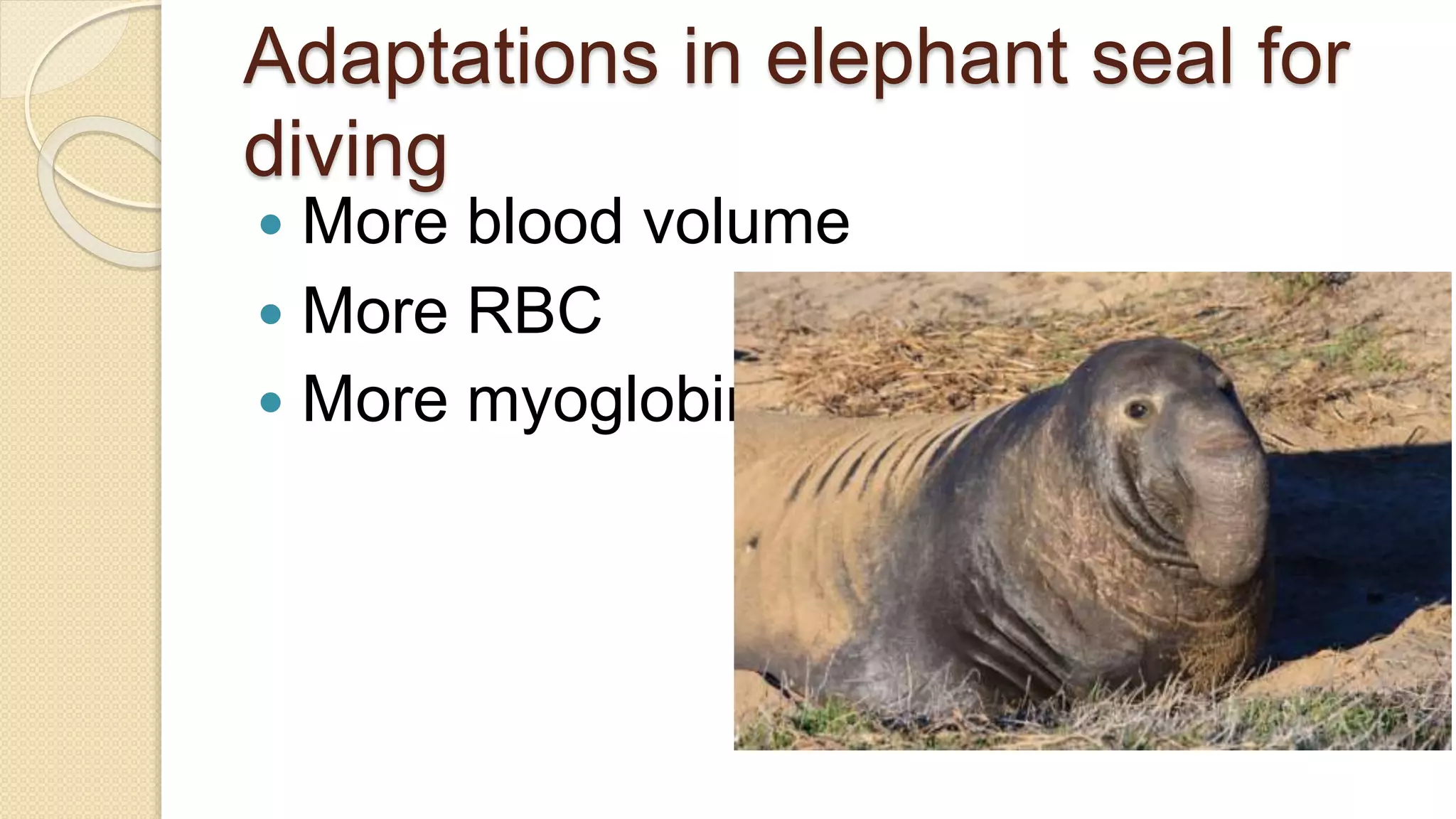 AS Biology- The roles of the blood | PPTX