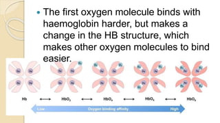 AS Biology- The roles of the blood | PPTX