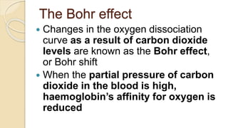 AS Biology- The roles of the blood | PPTX