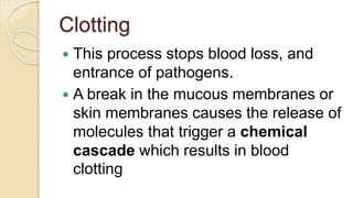 AS Biology- The roles of the blood | PPTX