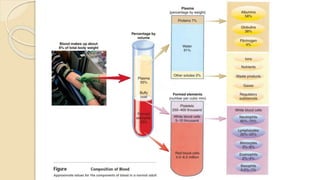AS Biology- The roles of the blood | PPTX
