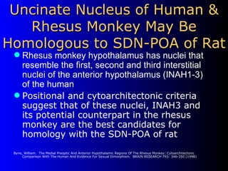 2 The Sexual Brain | PPT