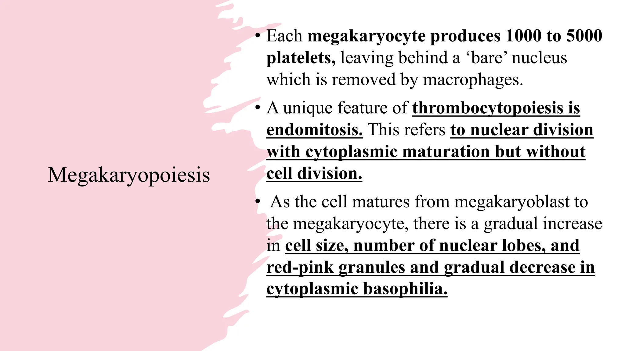 Thrombocytes and Thrombopoiesisand Thrombopoiesis | PDF