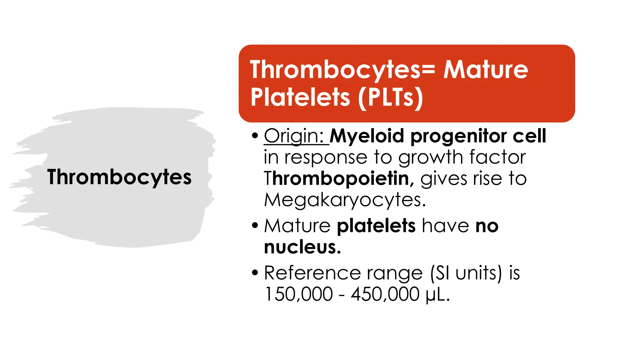 Thrombocytes and Thrombopoiesisand Thrombopoiesis | PDF