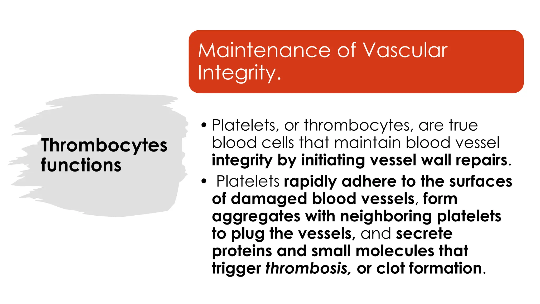 Thrombocytes and Thrombopoiesisand Thrombopoiesis | PDF