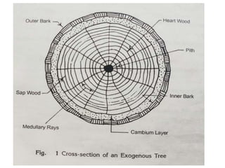 Construction Material: timber | PPTX