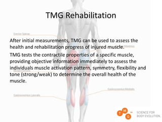 2 tmg injury rehab | PPT