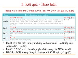 KHẢO SÁT GEN pmrCAB, lpxACD Ở CHỦNG ACINOBACTER BAUMANNII KHÁNG ...