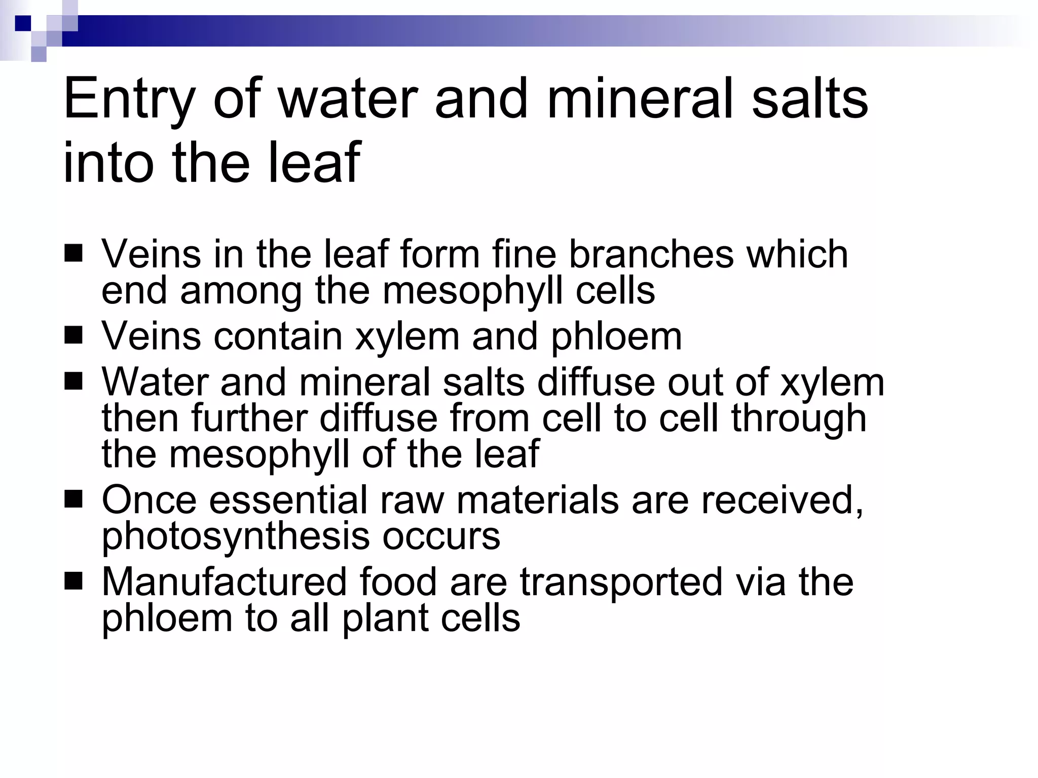 Chapter 7 Nutrition in Plants Lesson 2 - Transport of water and mineral ...