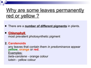 Chapter 7 Nutrition in Plants Lesson 2 - Transport of water and mineral ...