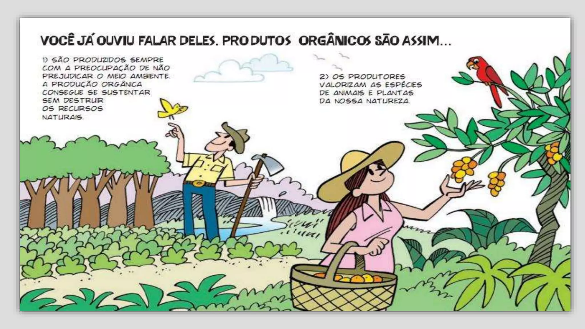 O espaço rural no Brasil (características) -7º ANO (2016) | PPT